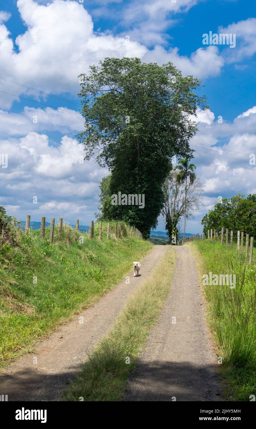 Beatiful colombian landscape and nature photos Stock Photo - Alamy