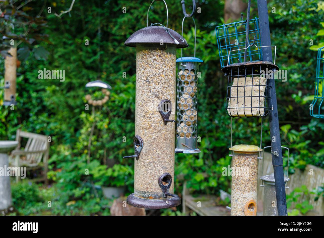 Multiple bird feeders hanging in the back garden of a house in suburban ...