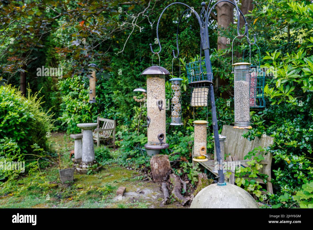 Multiple bird feeders hanging in the back garden of a house in suburban ...