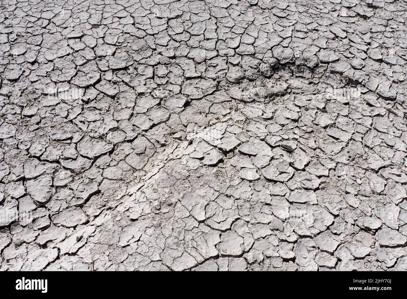 Cracked mud on a dry lake bed in Lauca National Park on the high Andean ...