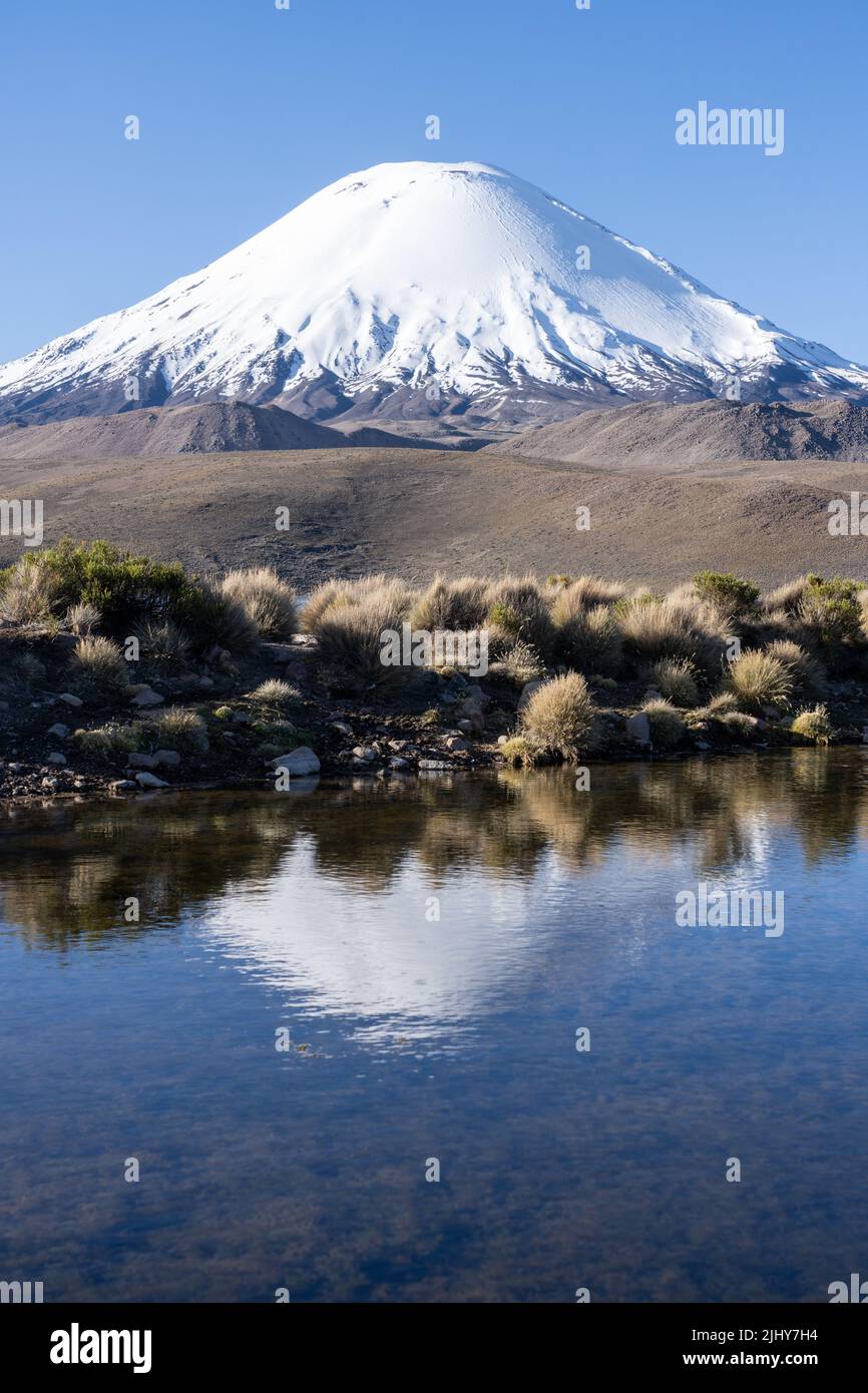 Parinacota Volcano reflected in Lake Chungara in Lauca National Park on ...