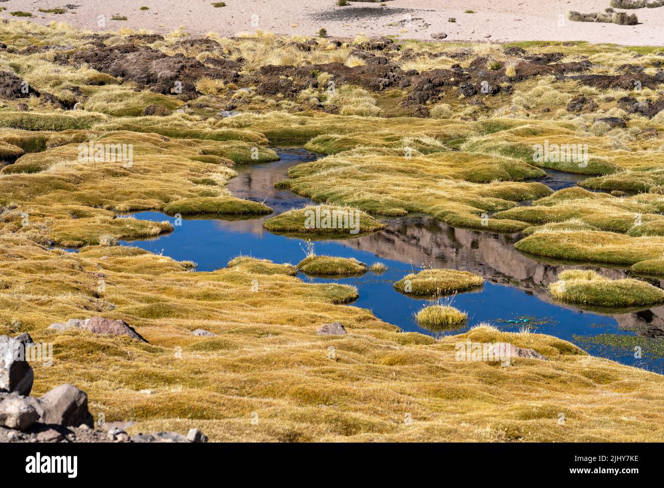 Andean ecosystem hi-res stock photography and images - Alamy