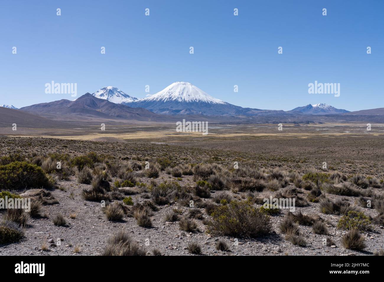 Parinacota & Pomerape Volcanos, the Nevados de Payachatas & Quisi ...