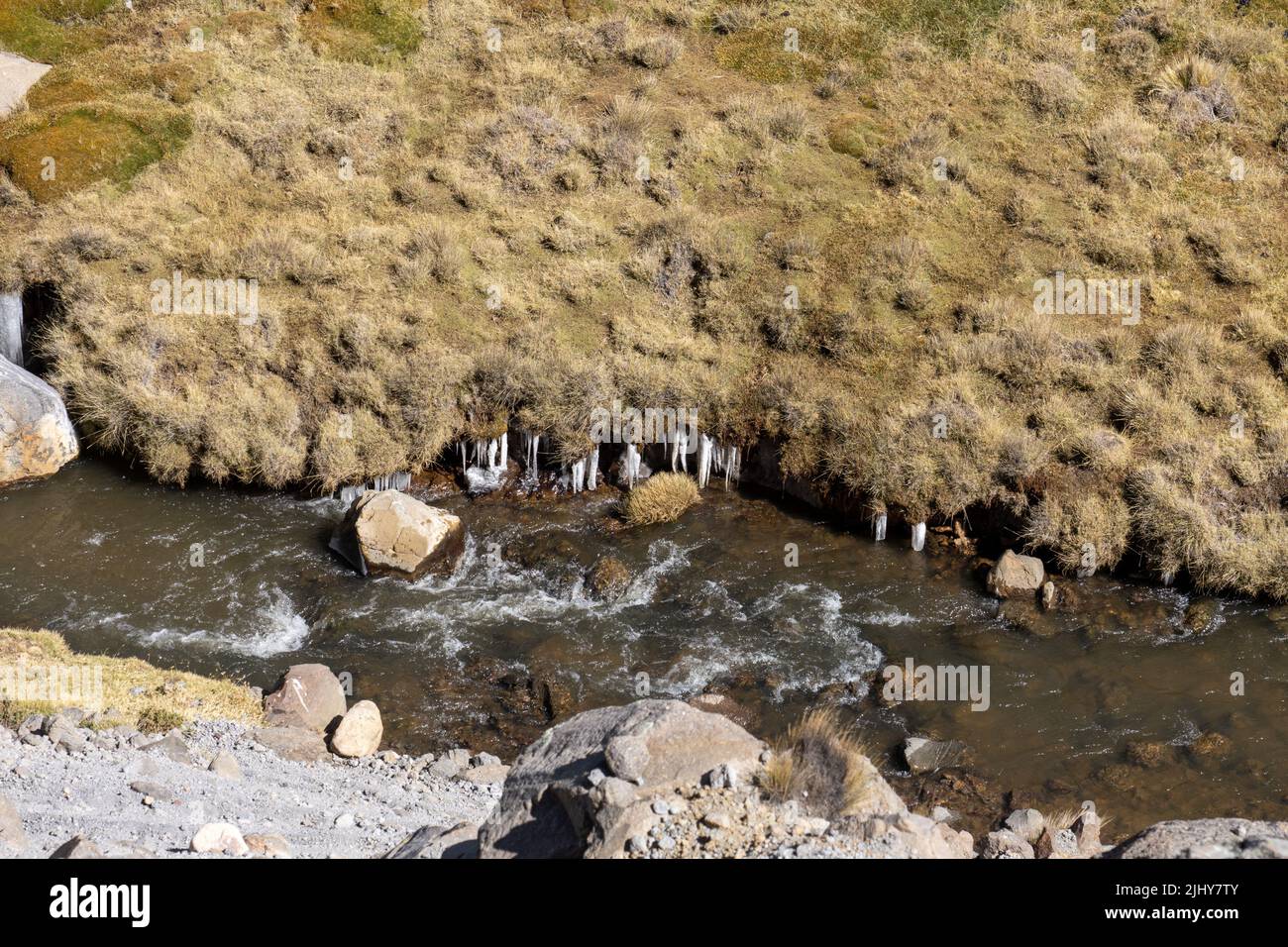 Icicles form from water seeping through the wetland down to a stream in ...