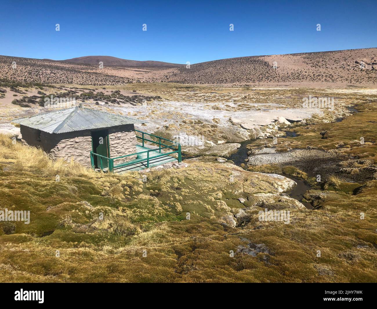 Barros de Chano, a hot spring at Las Cuevas in Lauca National Park on ...