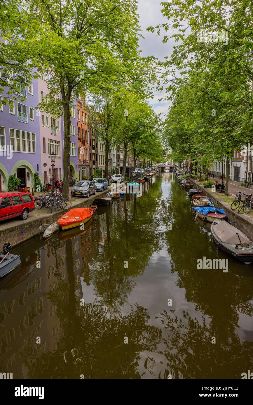 Boats along the tree lined Raamgracht (Frame Canal), Amsterdam ...