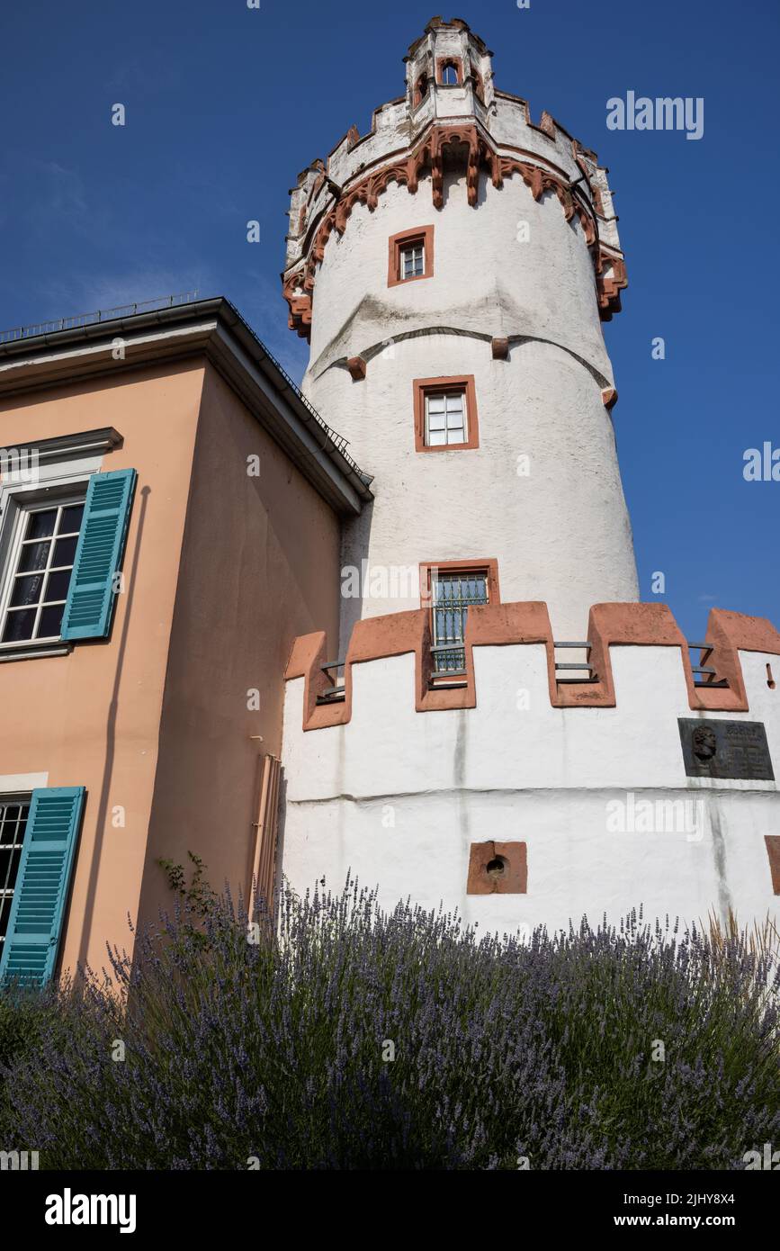 Rudesheim rheingau germany hi-res stock photography and images - Alamy