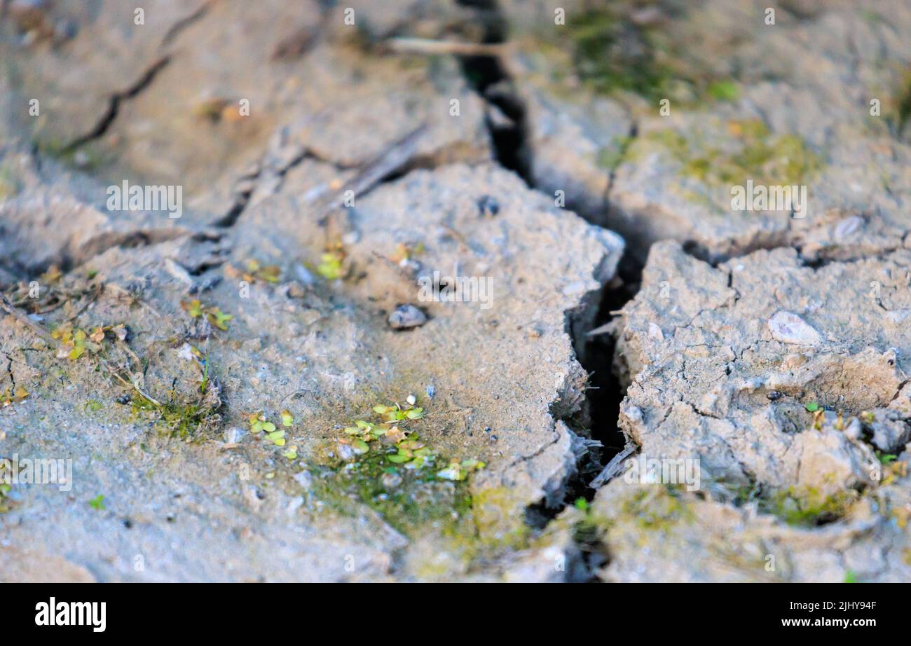 Large crack in dry ground with small green patches Stock Photo - Alamy