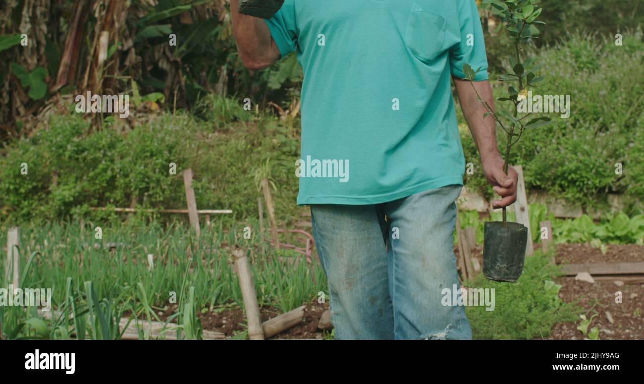 A mature hispanic man carrying farming equipment and two potting ...