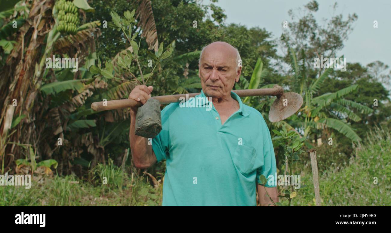 Mature community planting trees hi-res stock photography and images - Alamy