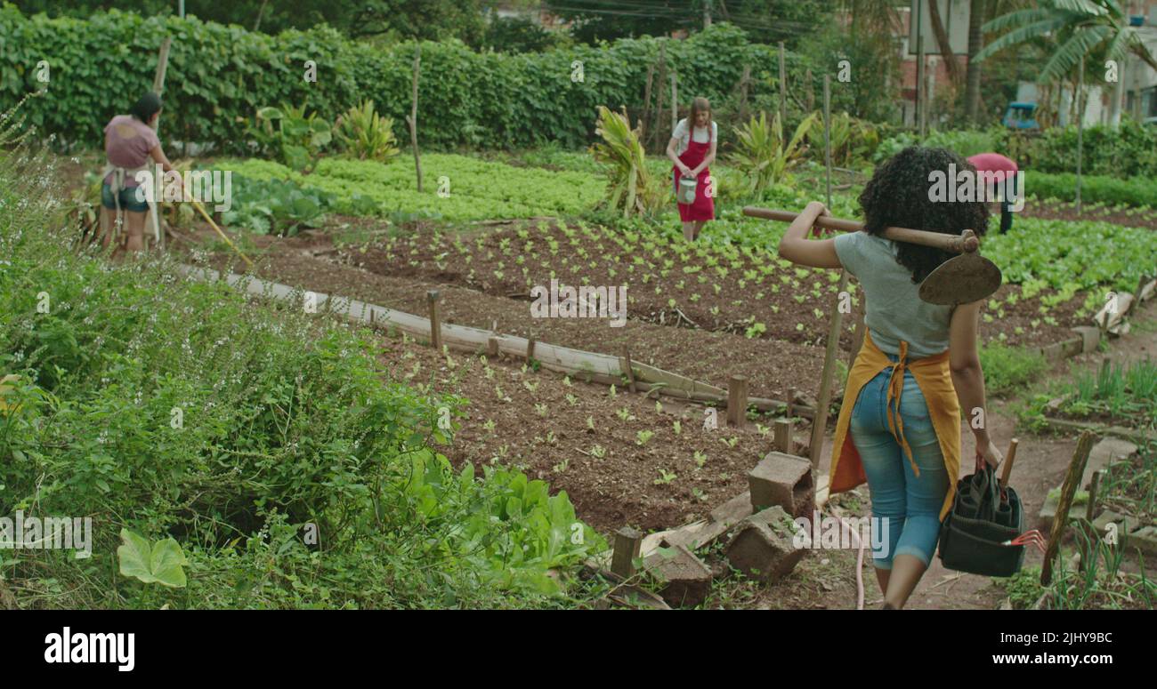 Group of community farmers cultivating food at urban small agriculture ...