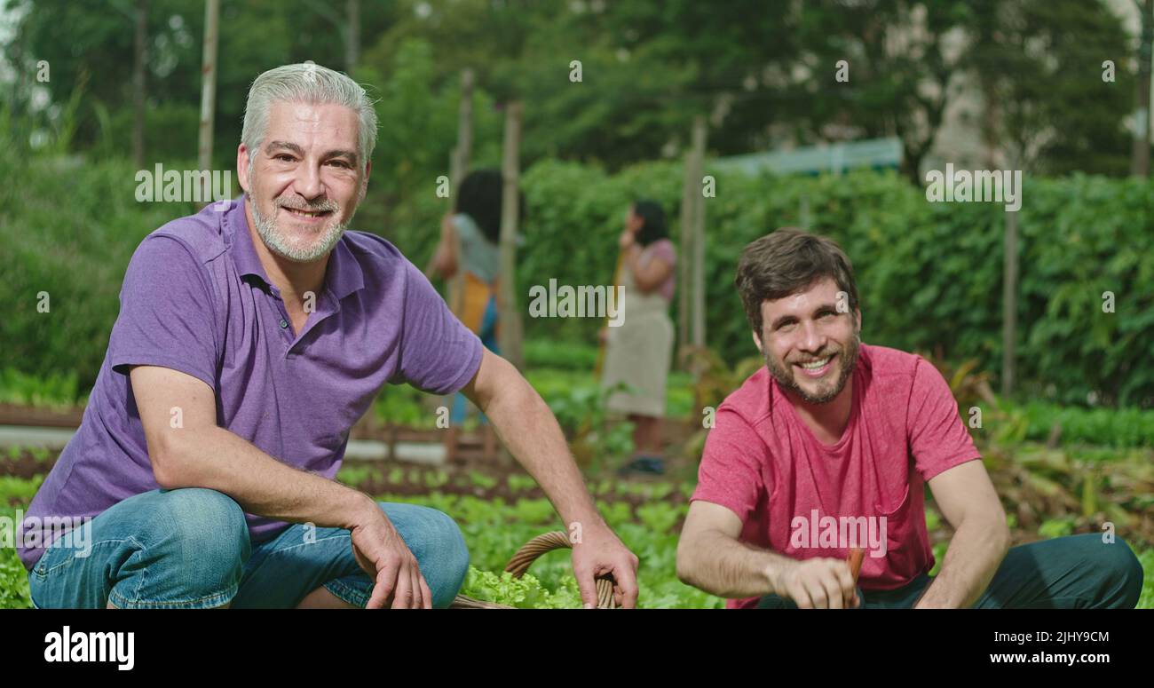 Father and adult son cultivating food at small organic farm. People ...
