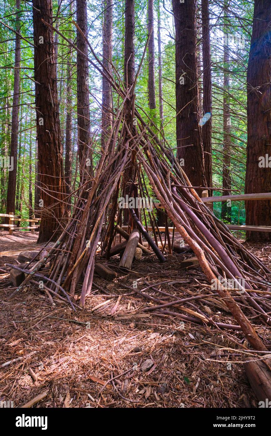 A wood, log tent, teepee enclosure environmental art work. At Redwood ...