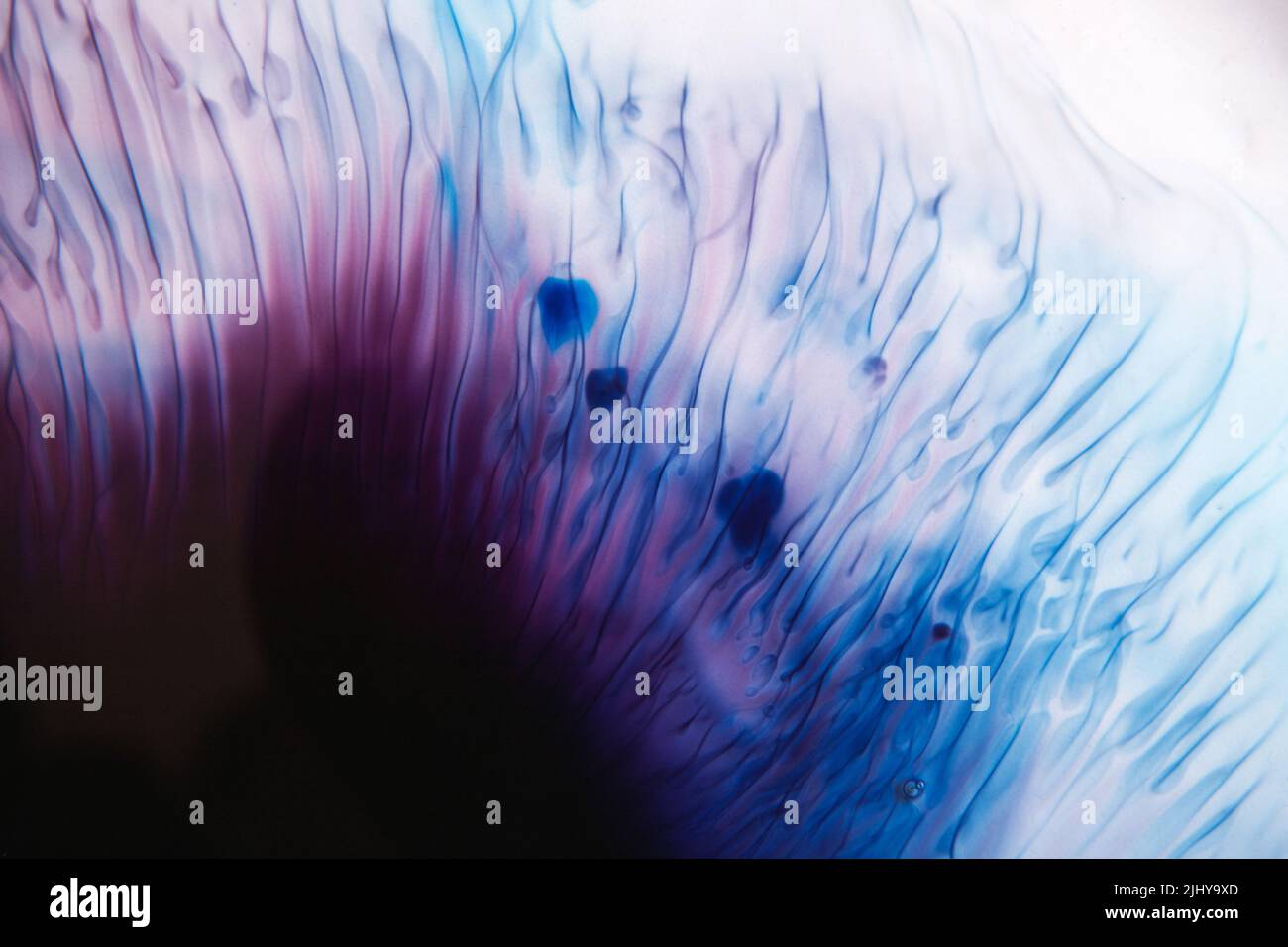 Splotch hi-res stock photography and images - Alamy