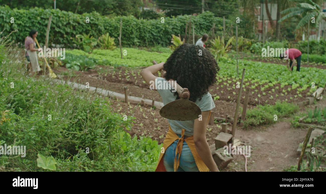 Group of community farmers cultivating food at urban small agriculture ...
