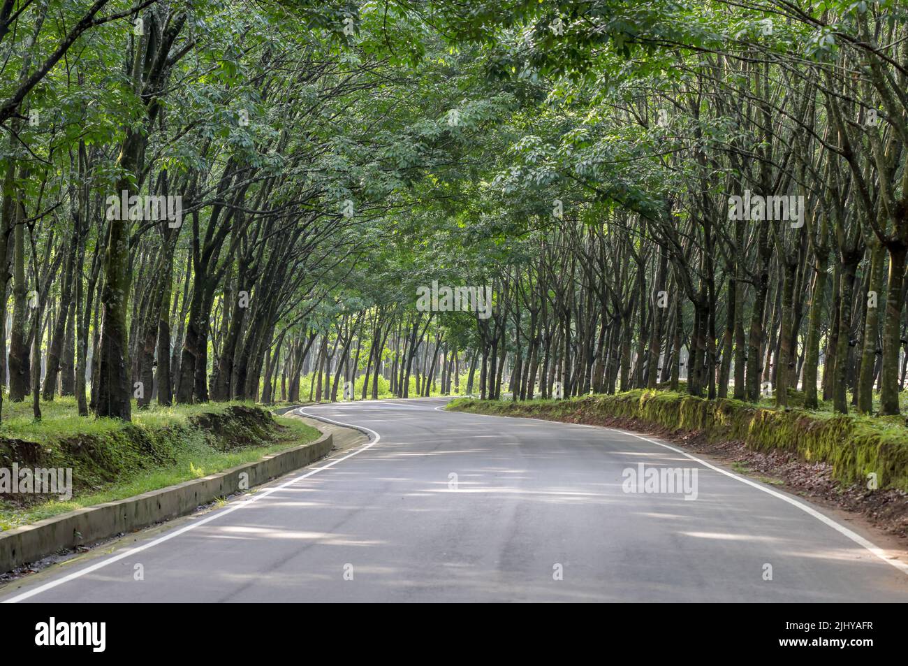 Selfie Road,Heakow Bazar,Vujpur Fatikchari, Chittagong,Bangladesh Stock ...
