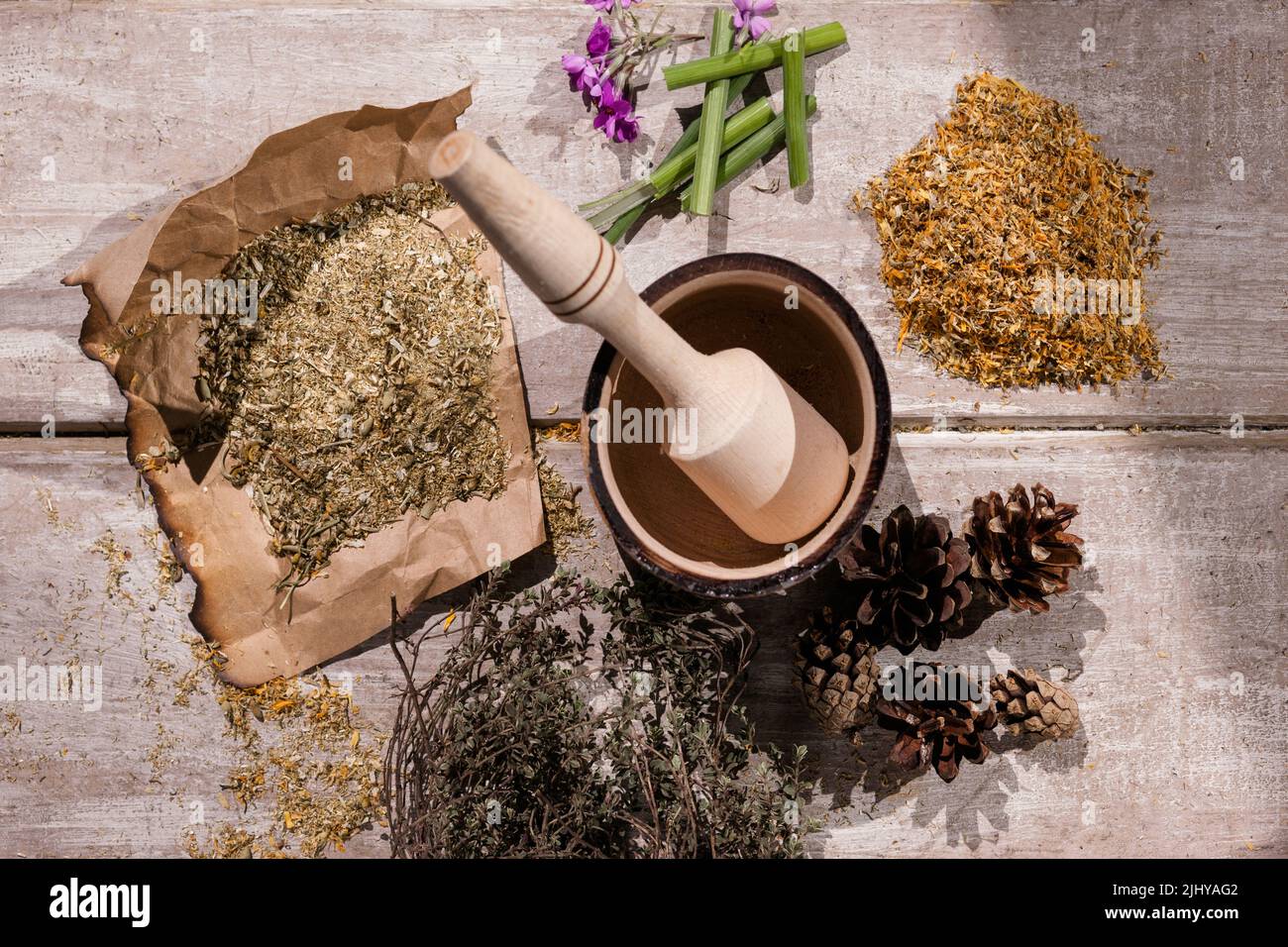 Alternative medicine. Medical herb ingredients Stock Photo - Alamy