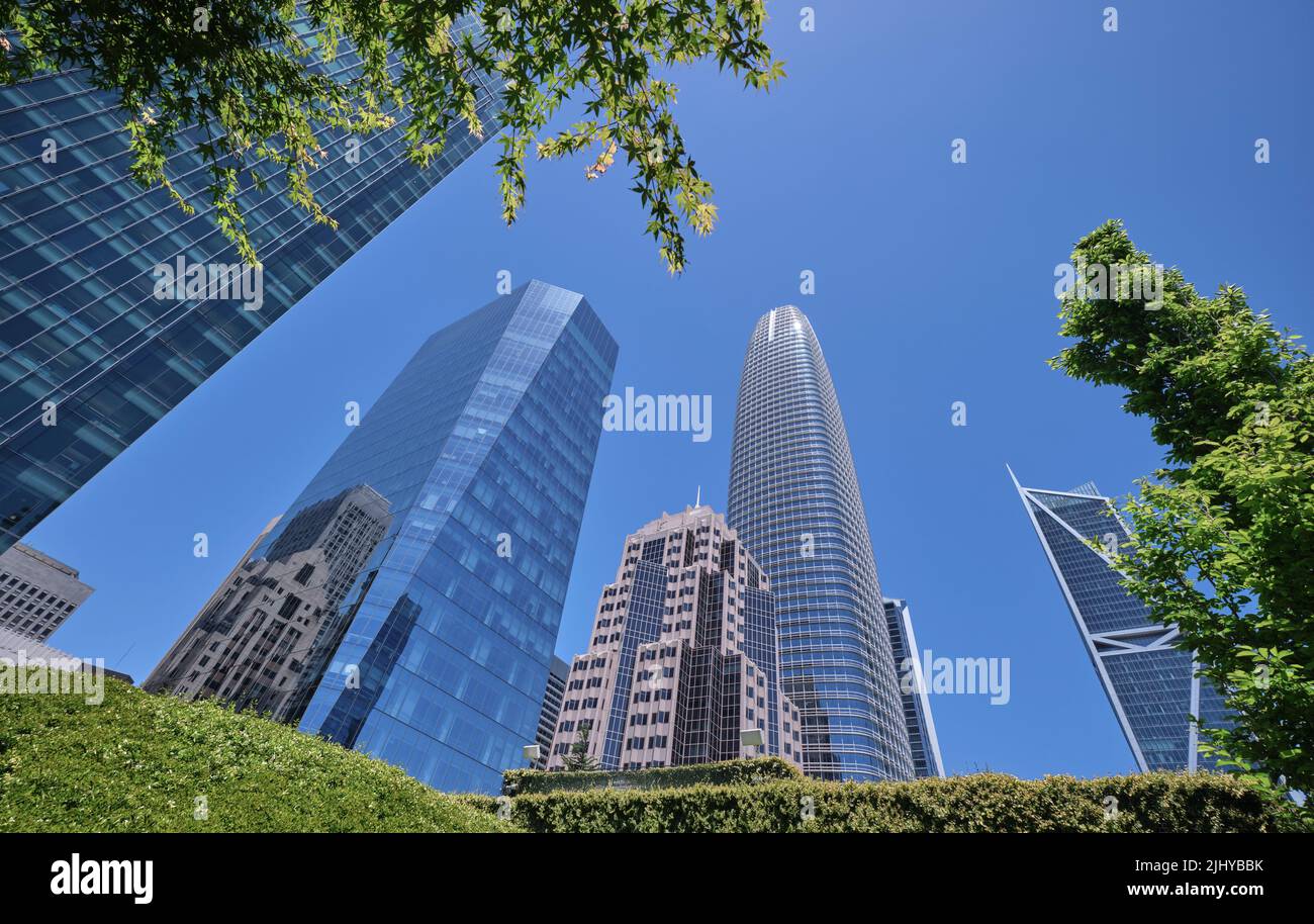 Some of the beautiful plantings in the gardens, juxtaposed with the ...