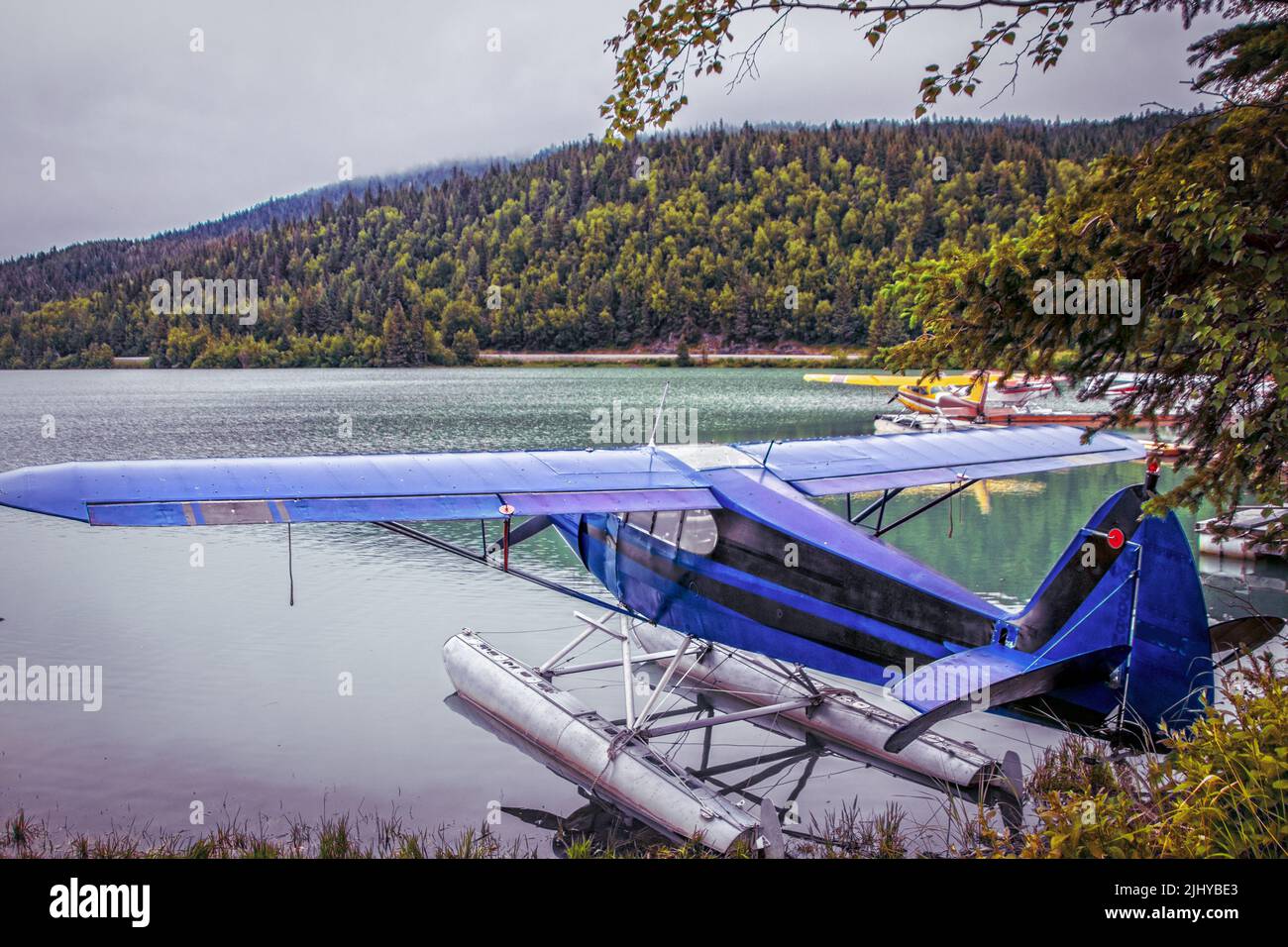 Sea planes floating at edge of lake in Alaska summer with mountains and ...