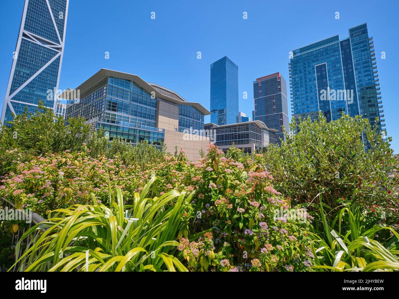 Some of the beautiful plantings in the gardens, juxtaposed with the ...