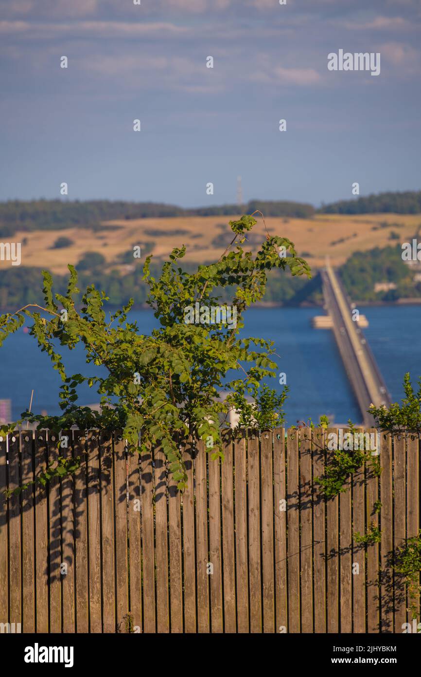 Dundee, UK. June 2022. View of Tay Rail Bridge from The Dundee Law, Law ...