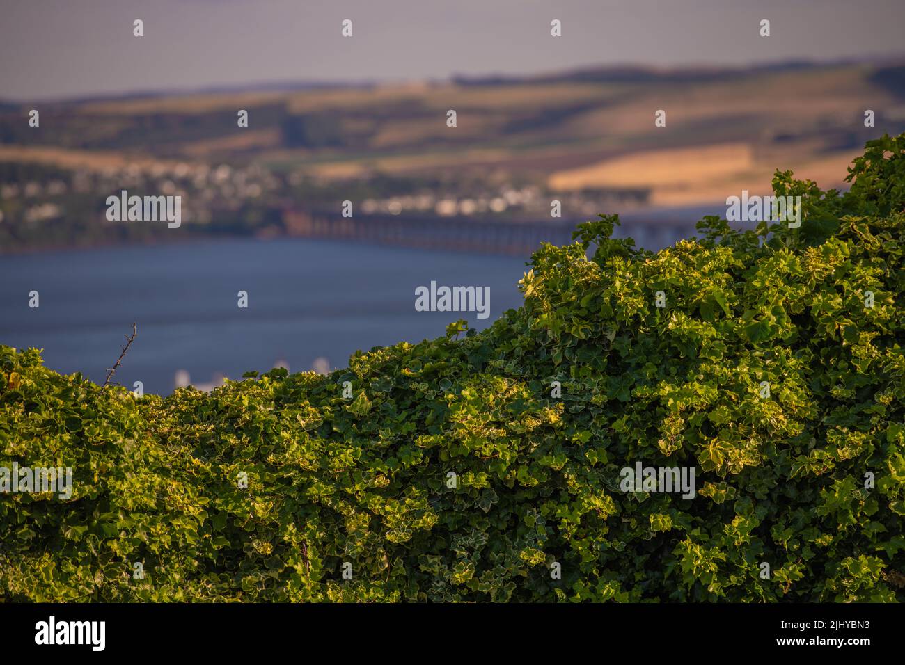 Dundee, UK. June 2022. View of Tay Rail Bridge from The Dundee Law, Law ...