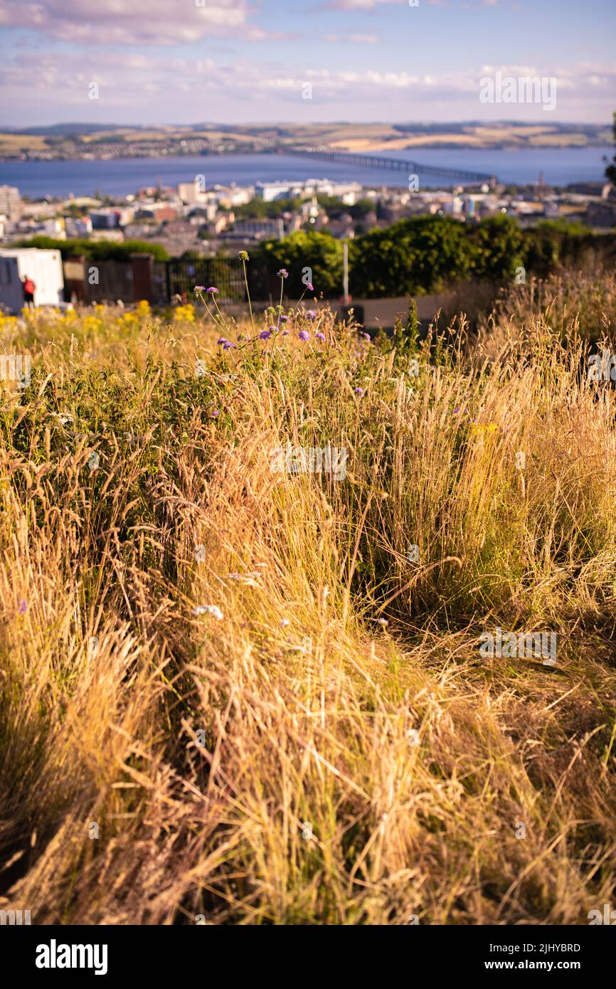 Dundee, UK. June 2022. View of Tay Rail Bridge from The Dundee Law, Law ...