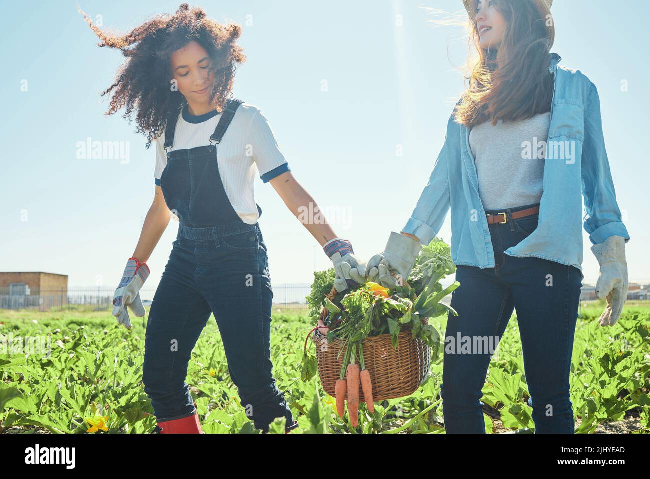 A helping hand is never far away. two farmers carrying a basket of ...