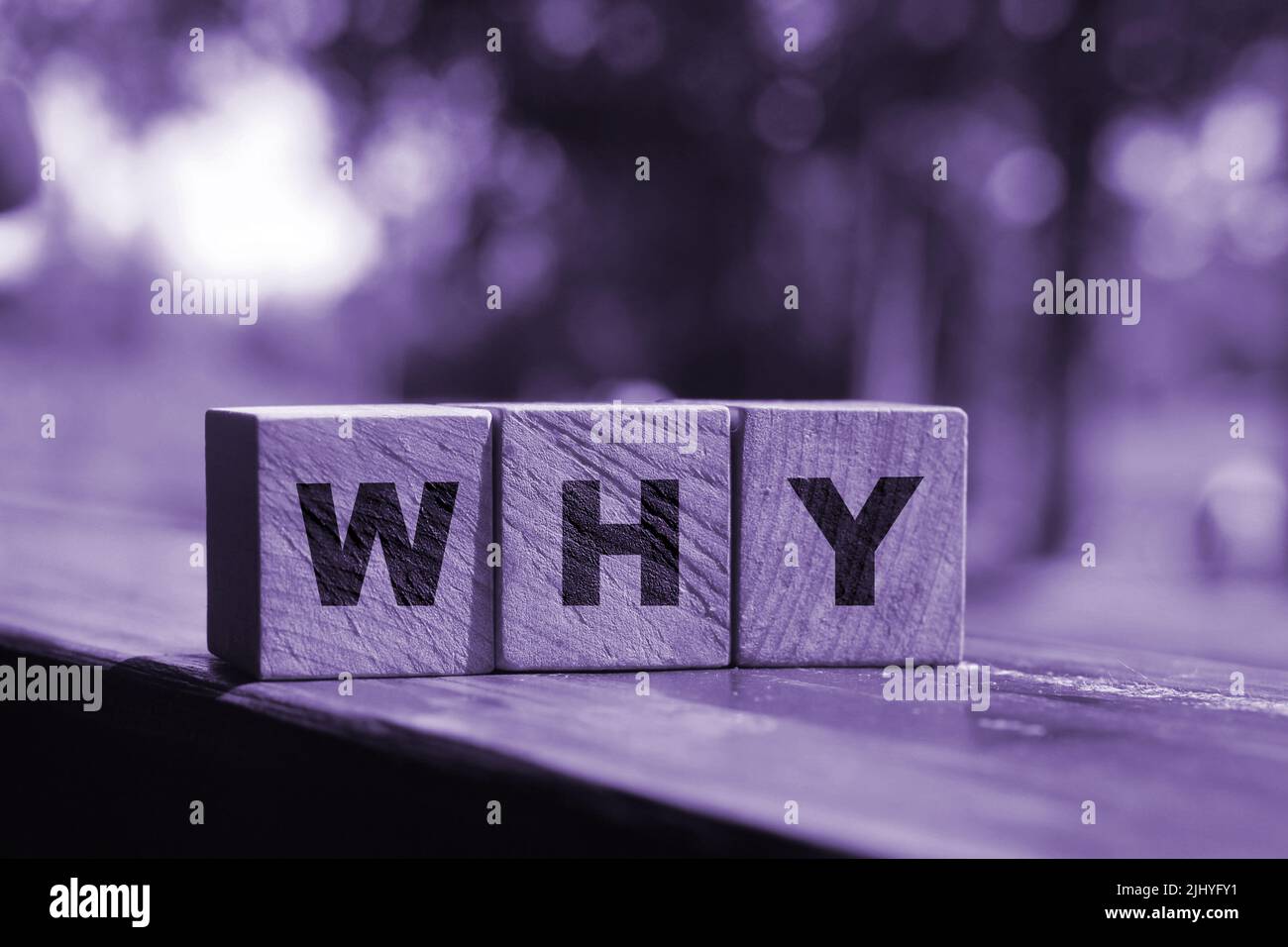 WHY cube blocks arranged on green nature background Stock Photo - Alamy