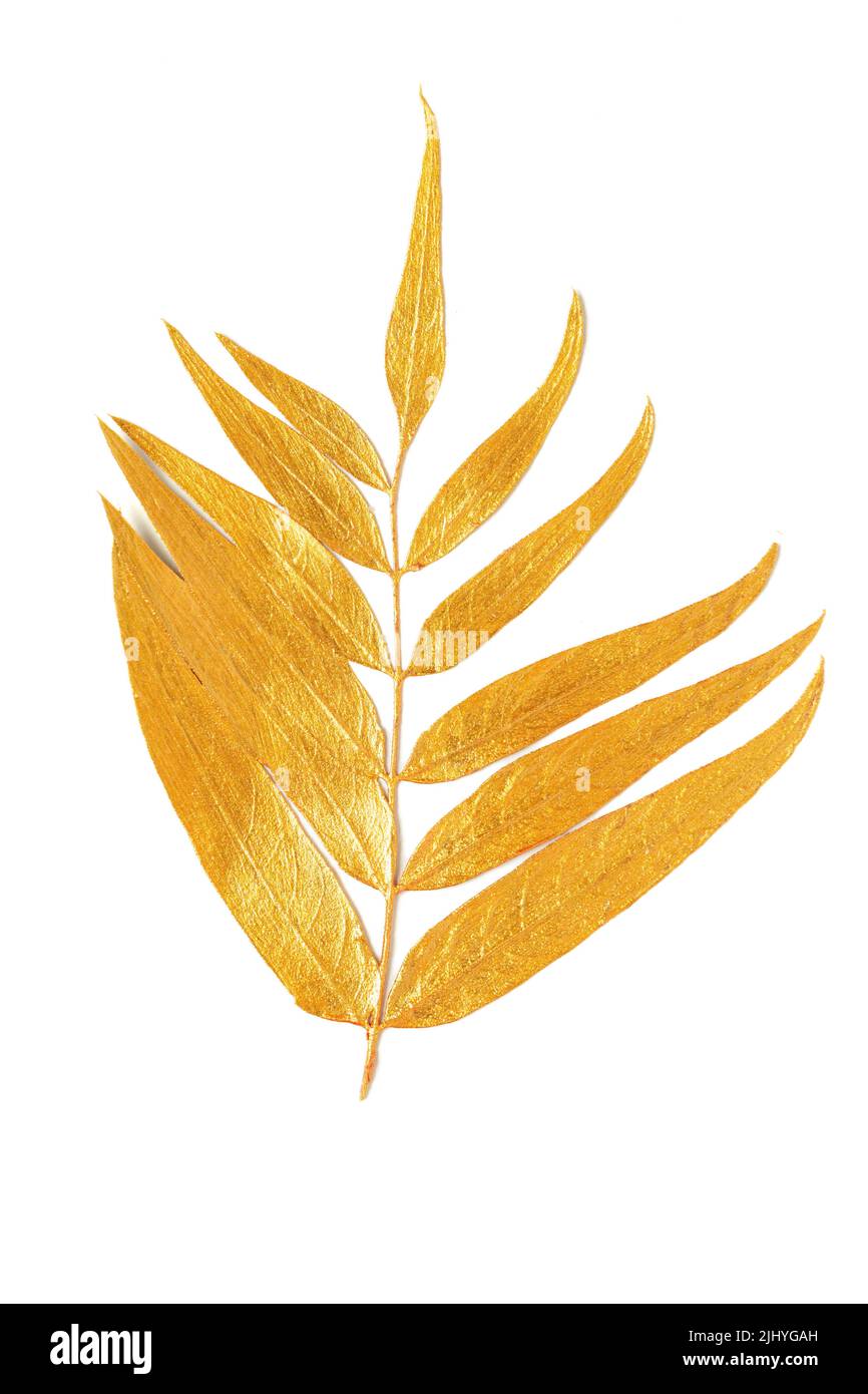 Golden laurel leaf crown Cut Out Stock Images & Pictures - Alamy