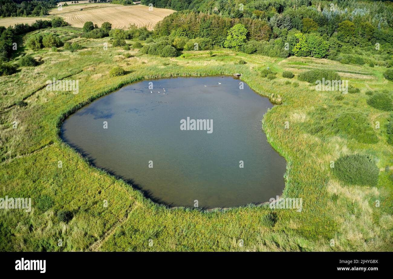 Aerial view of a lake surrounded by trees and plants in the countryside ...
