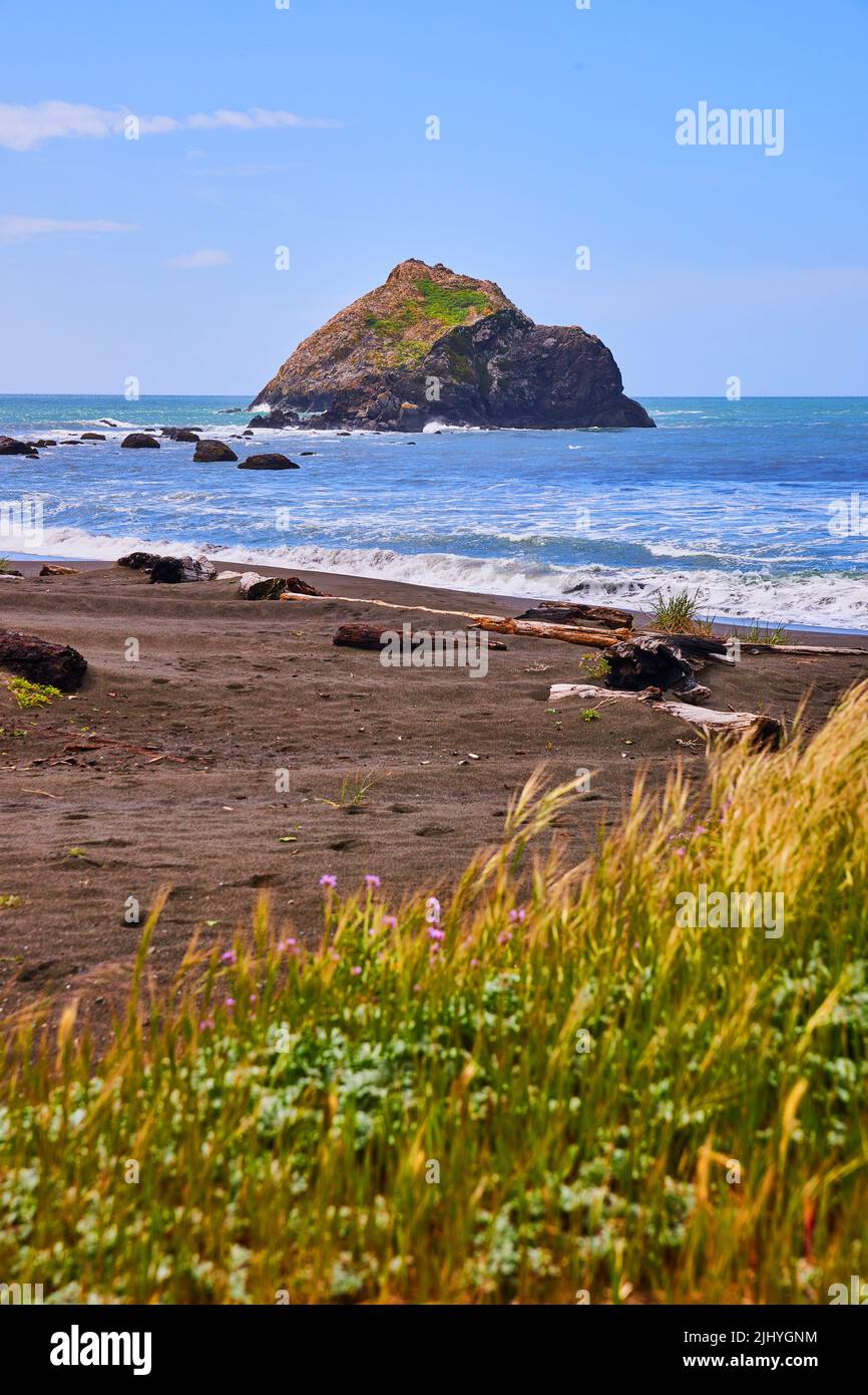 View of sandy beach from grasses with waves and large rocks Stock Photo ...