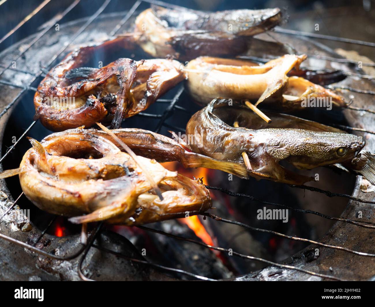 Picture of catfish that on a smoking process that make the taste more ...