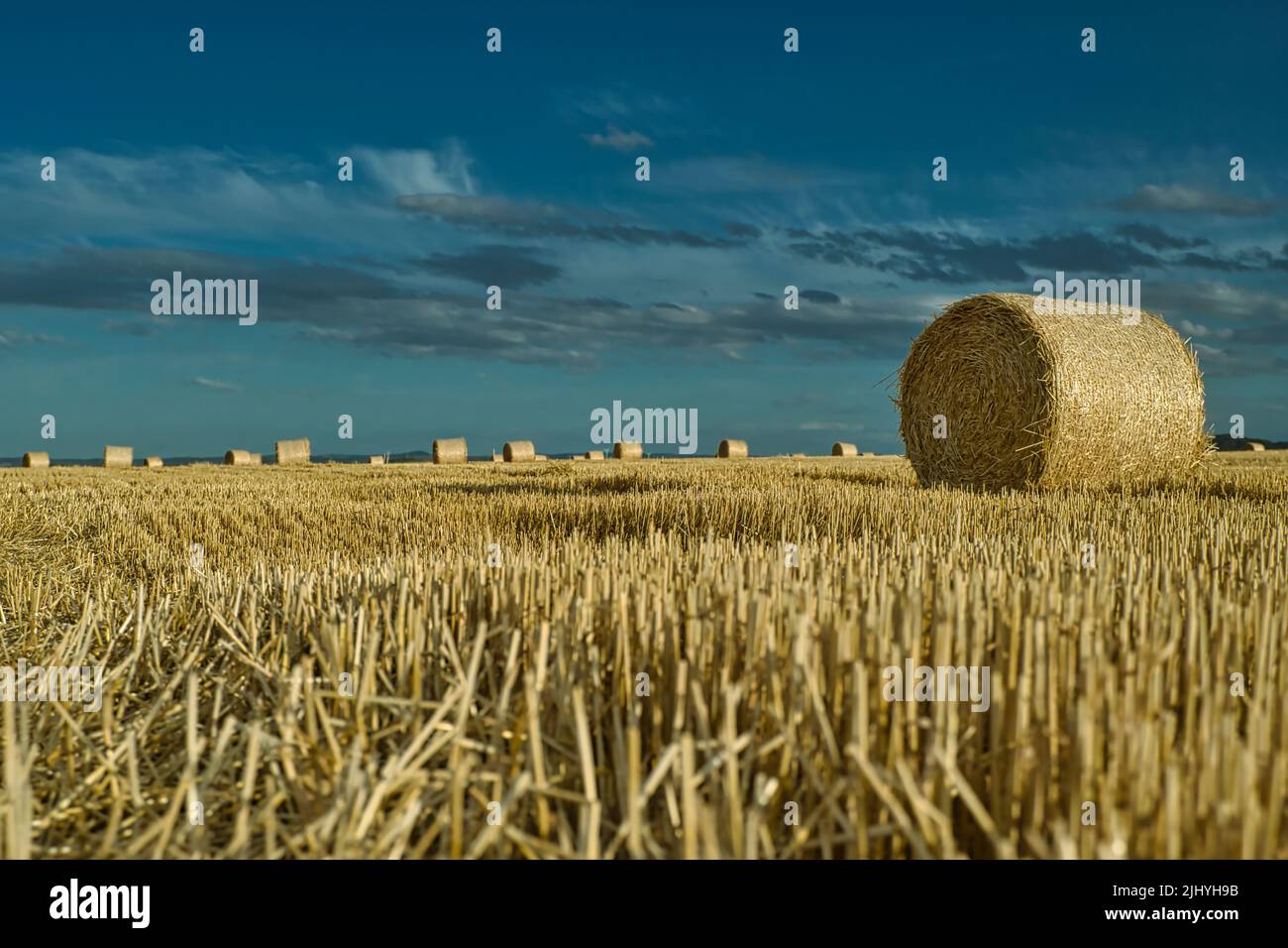 Grass bale hi-res stock photography and images - Alamy
