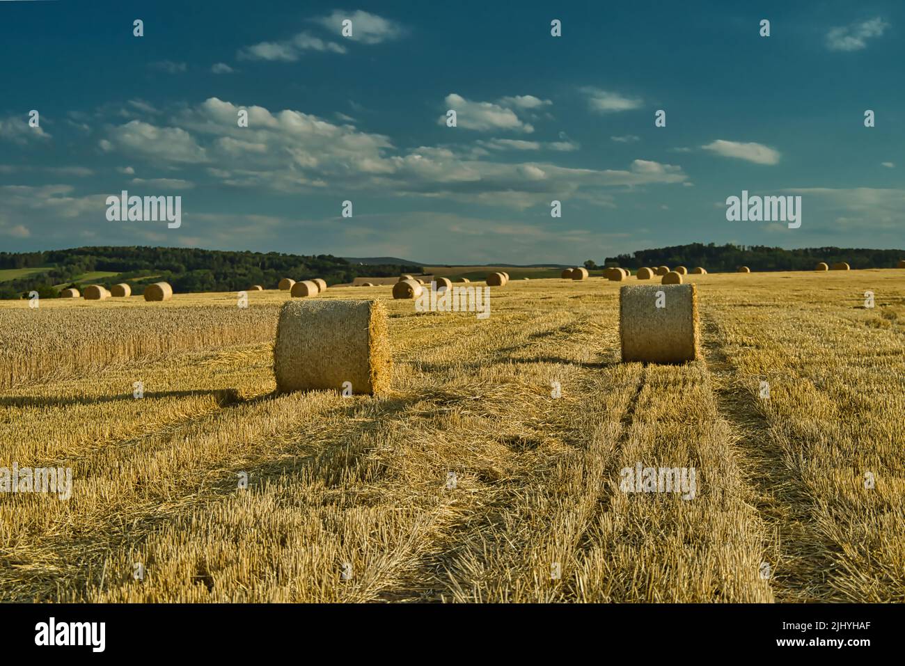 Grass bale hi-res stock photography and images - Alamy