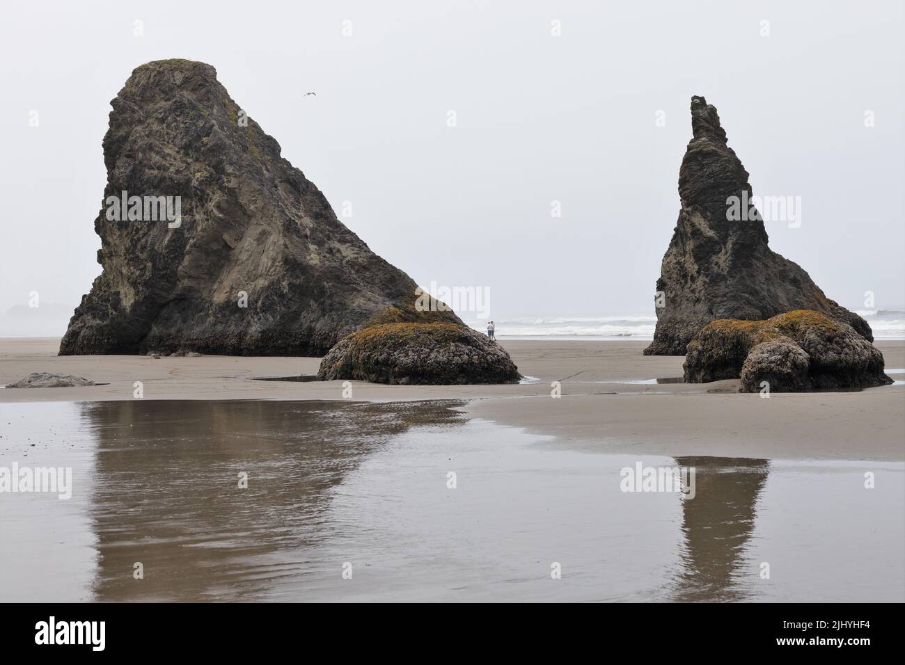 Two people in the distance walking among sea stacks on Face Rock Beach ...