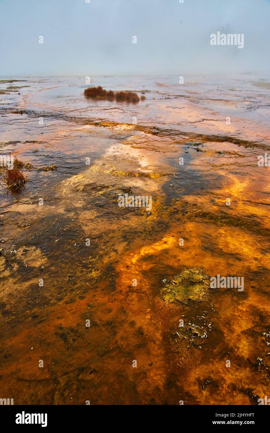 Yellowstone Basin detail of colorful acidic grounds and steam Stock ...