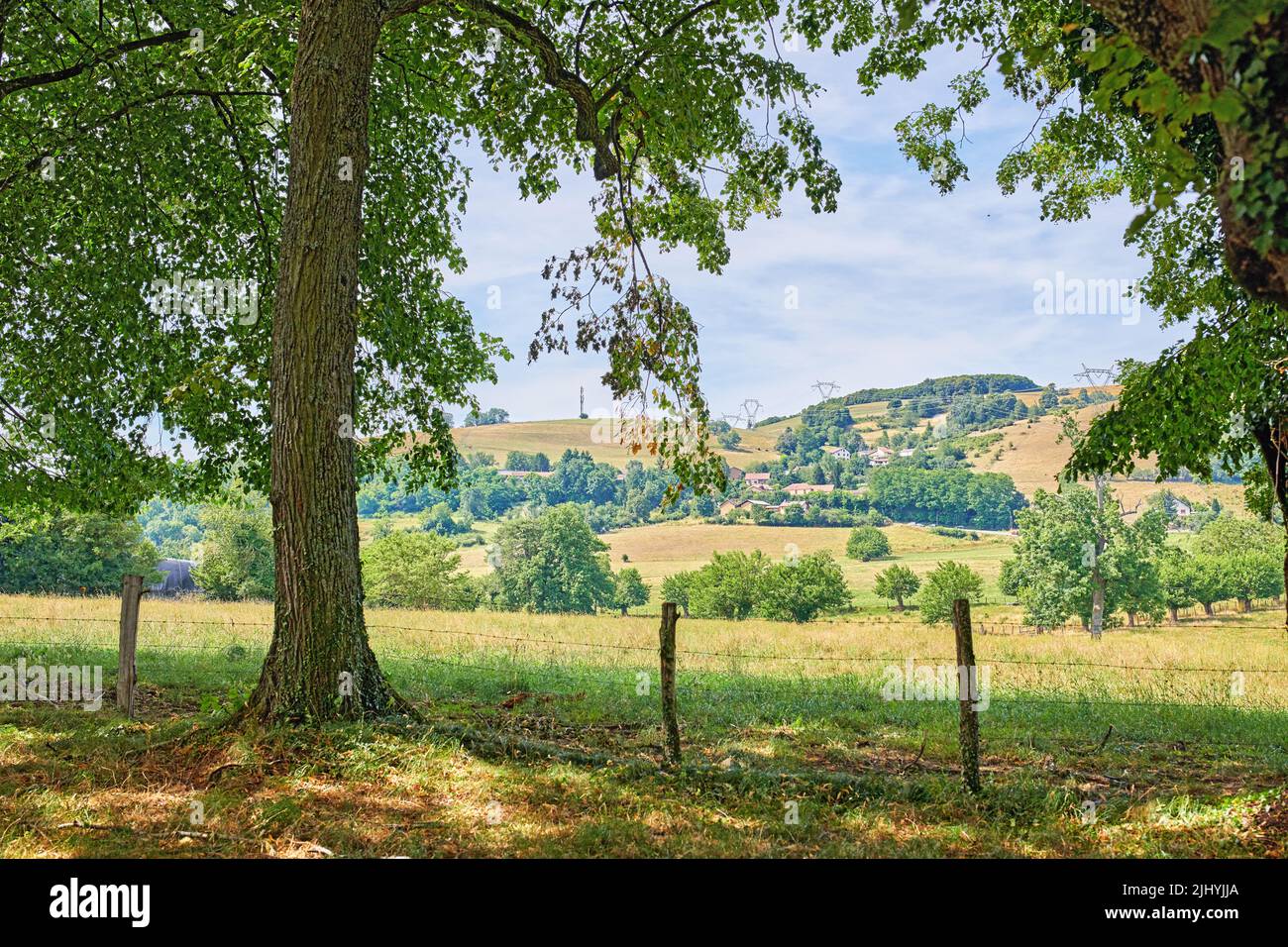 A green countryside landscape of trees and a blue sky in nature ...