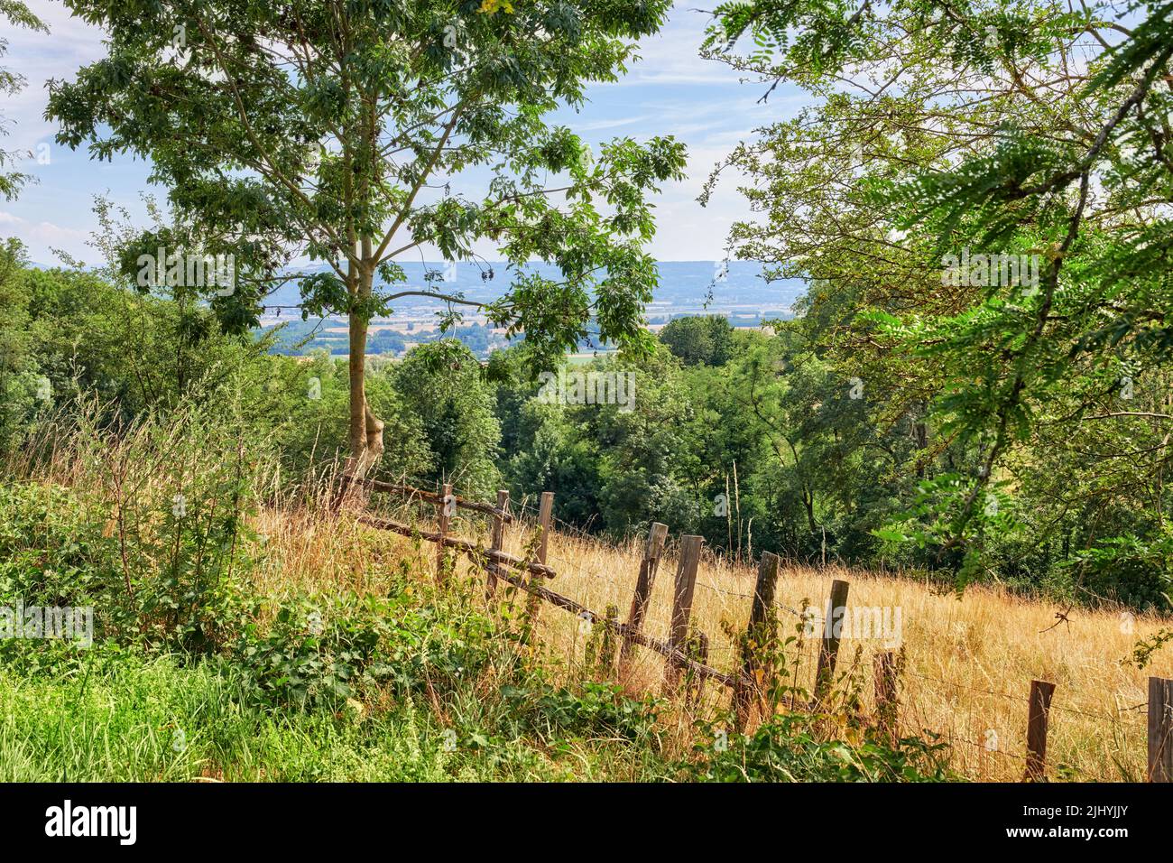 Landscape View Of Countryside Farm With Neglected Long And Dry Grass In
