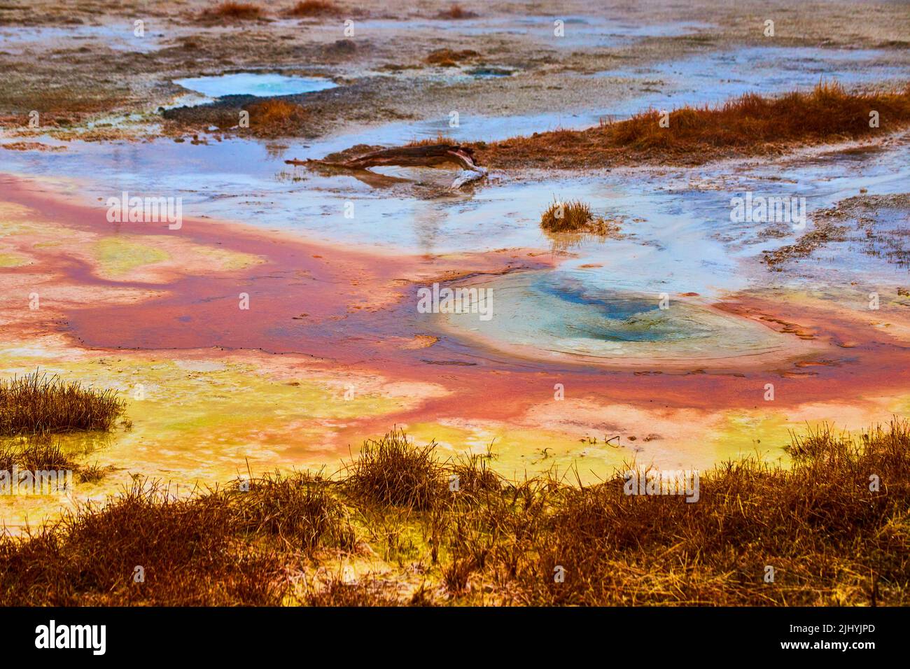 Yellowstone alkaline waters of colorful pools in winter Stock Photo - Alamy