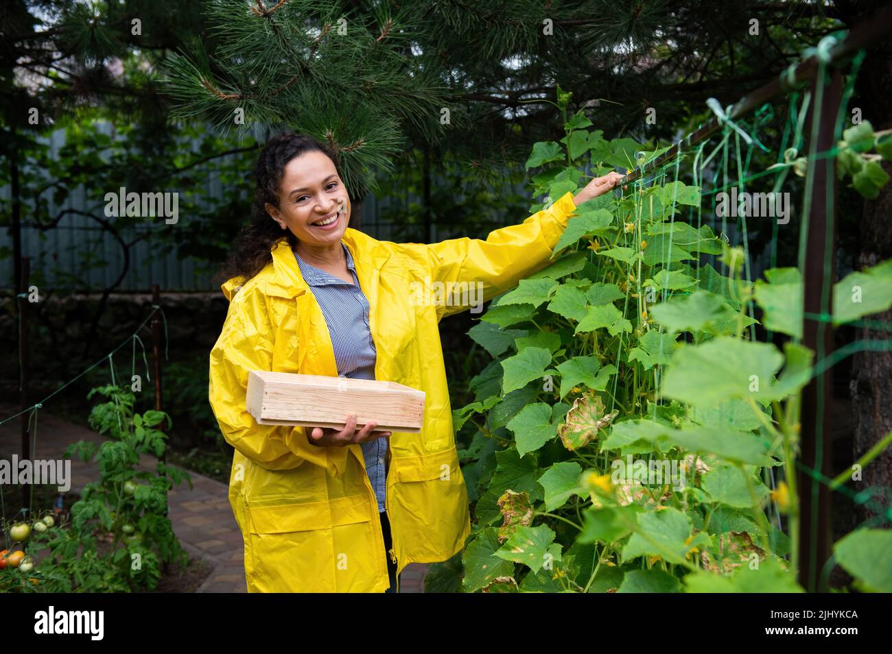 Successful woman agribusiness owner, holding a wooden crate for ...