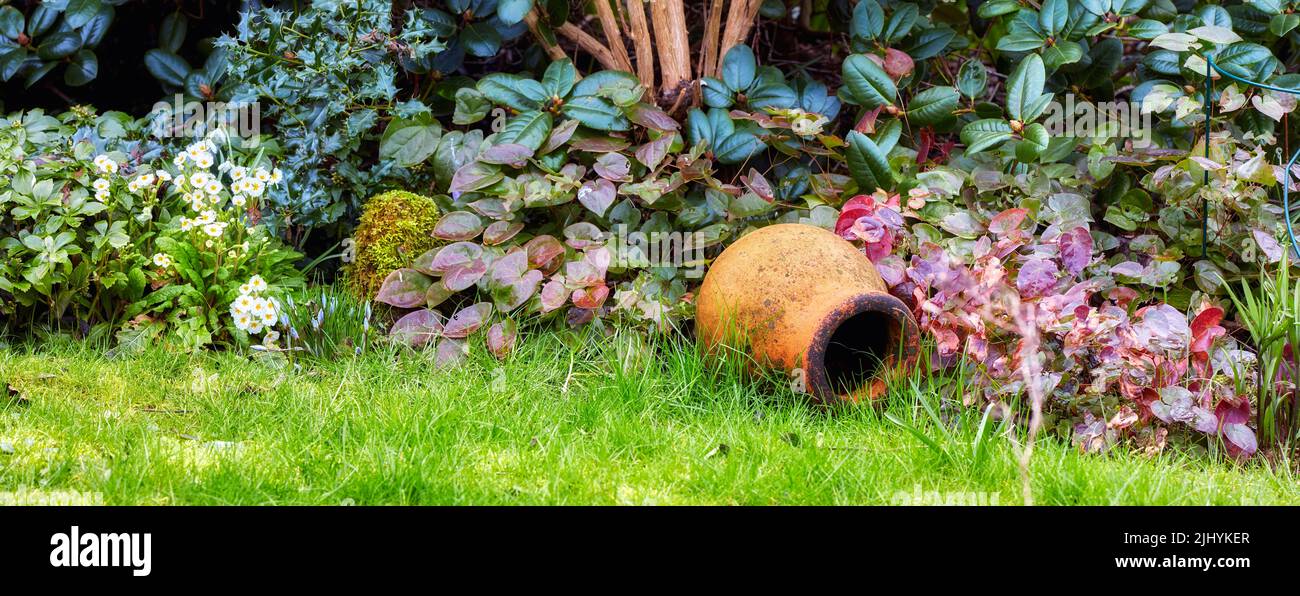 Magical Garden Wallpaper