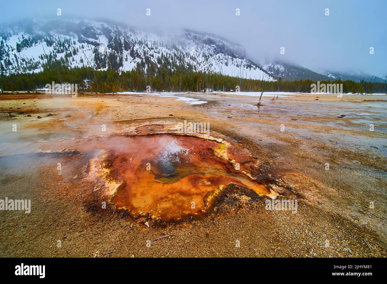 Yellowstone in winter with acidic colorful pools and steam Stock Photo ...