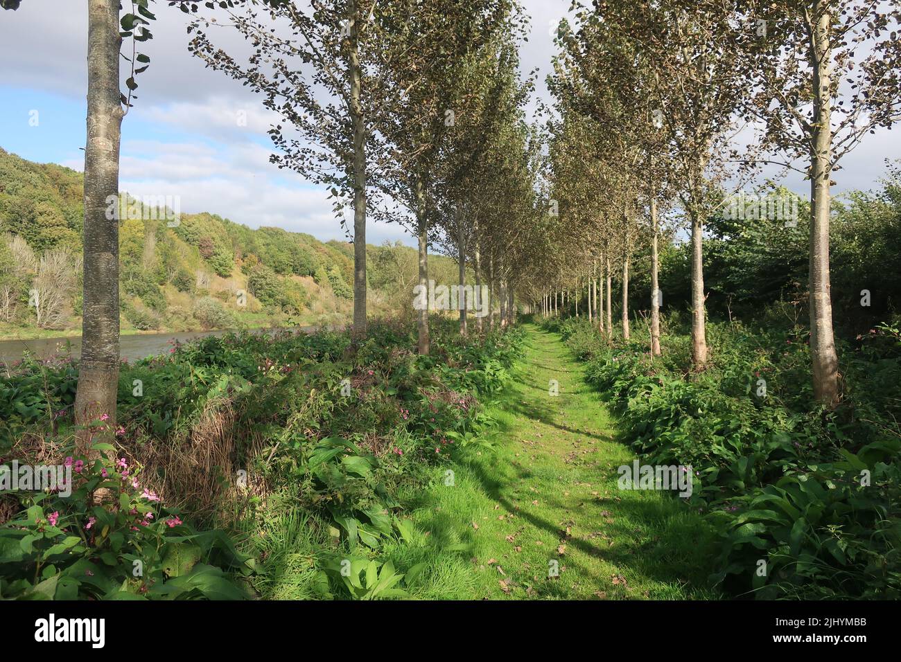 Anglo-Scottish border. English Northern frontier. Scottish Southern ...