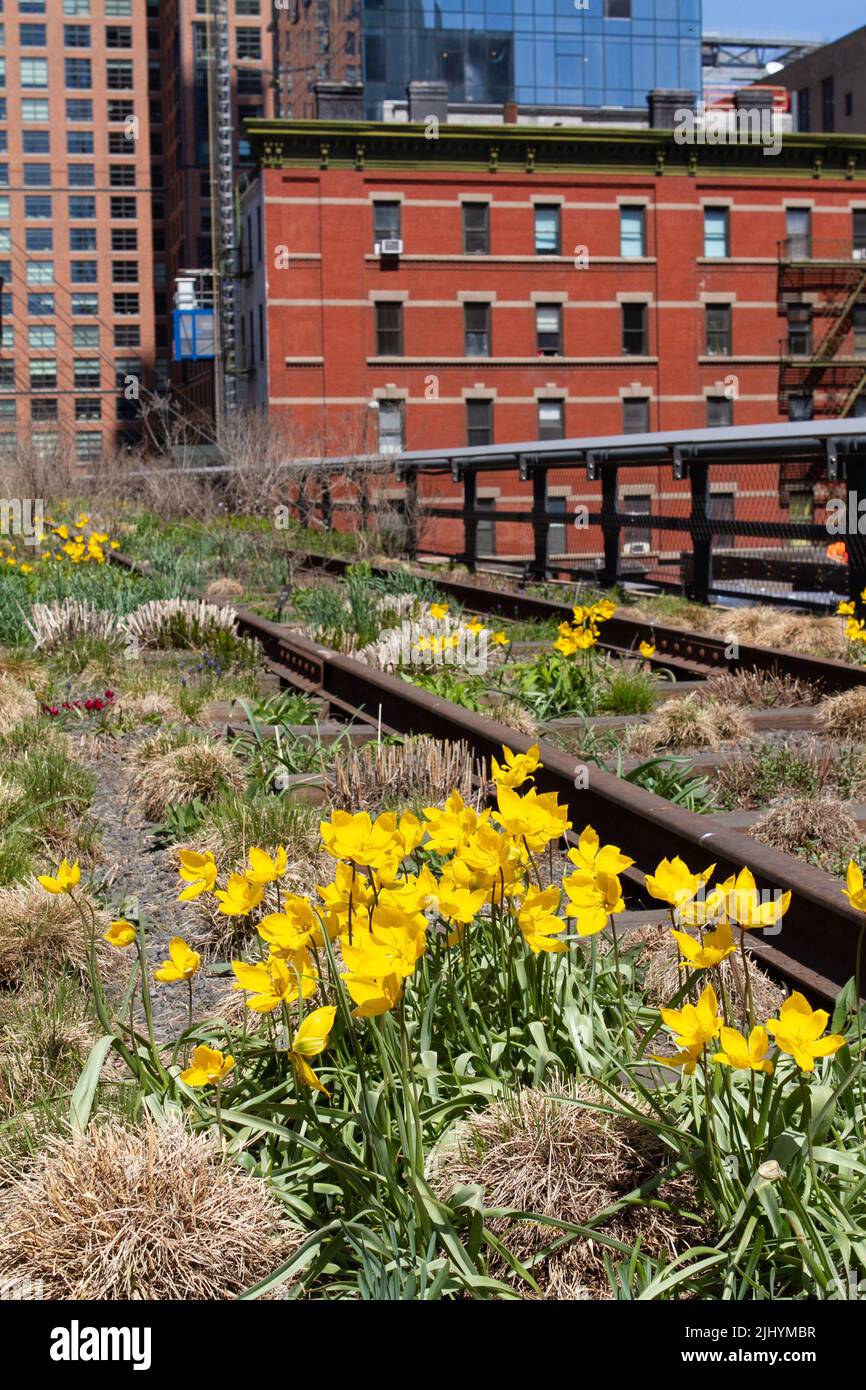 View from the High Line in Manhattan Stock Photo - Alamy