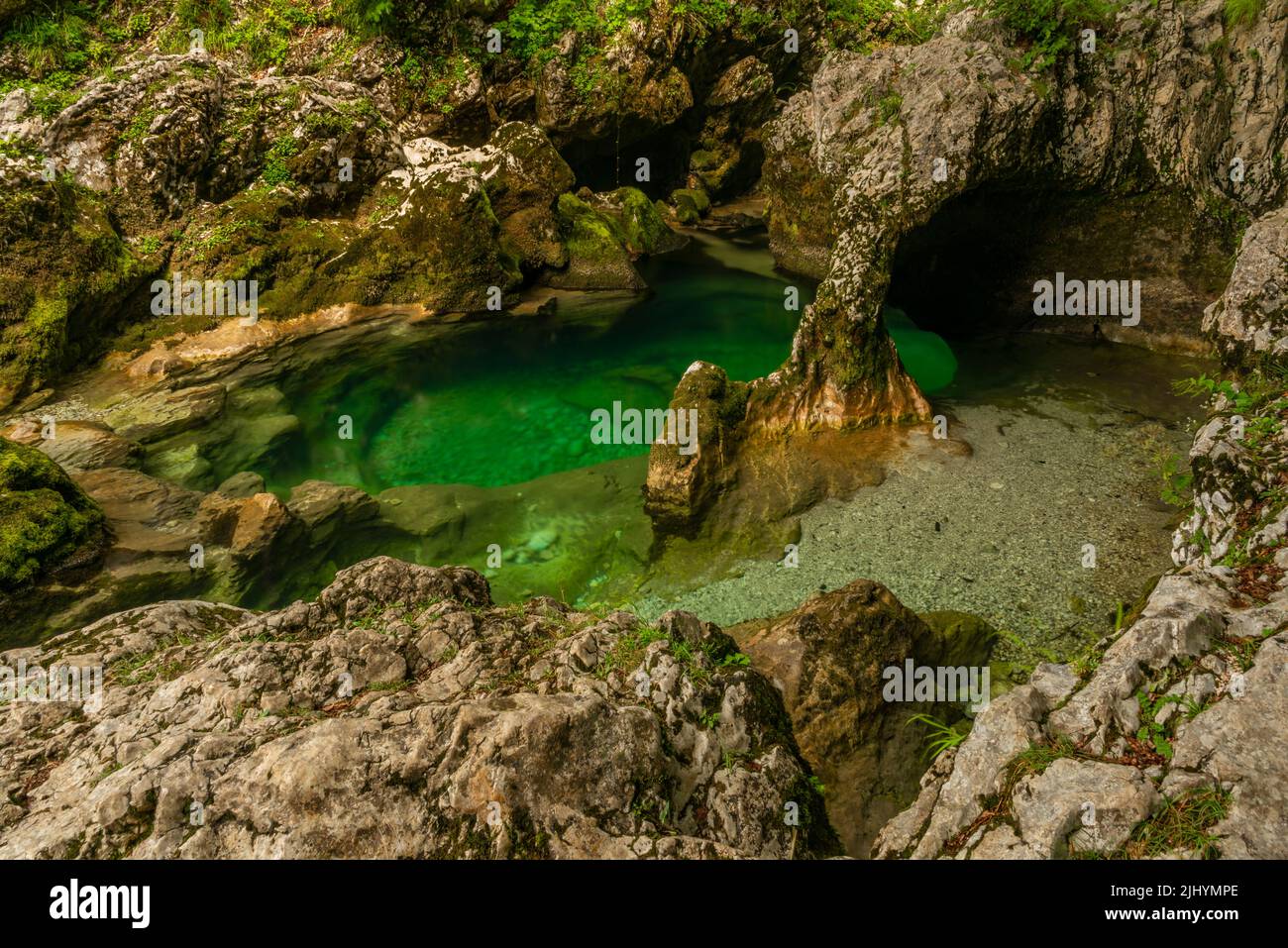 Mostnica small river with color surroundings in Slovenia summer ...