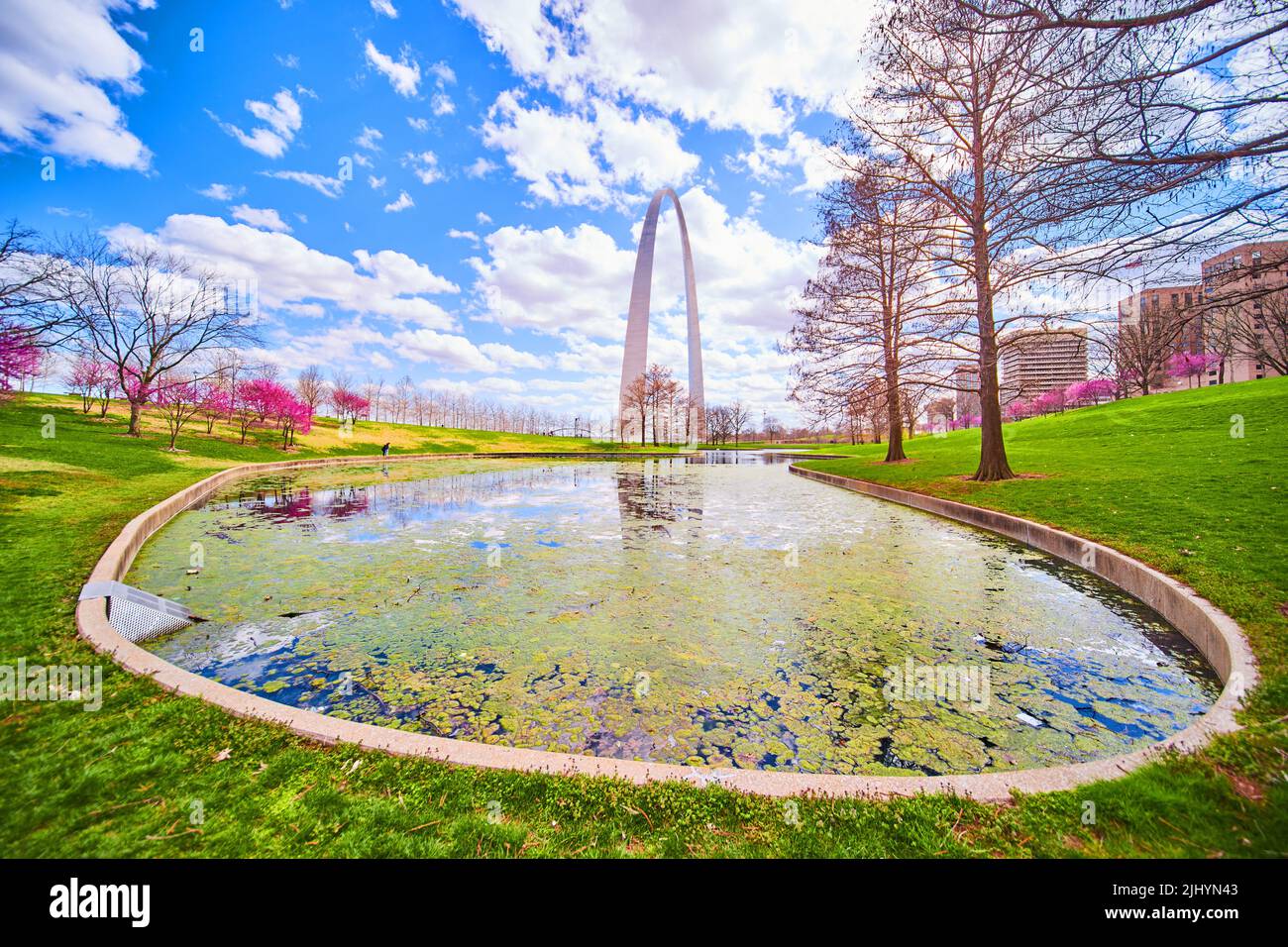 Vibrant spring morning on pond with algae and Gateway Arch of St. Louis ...