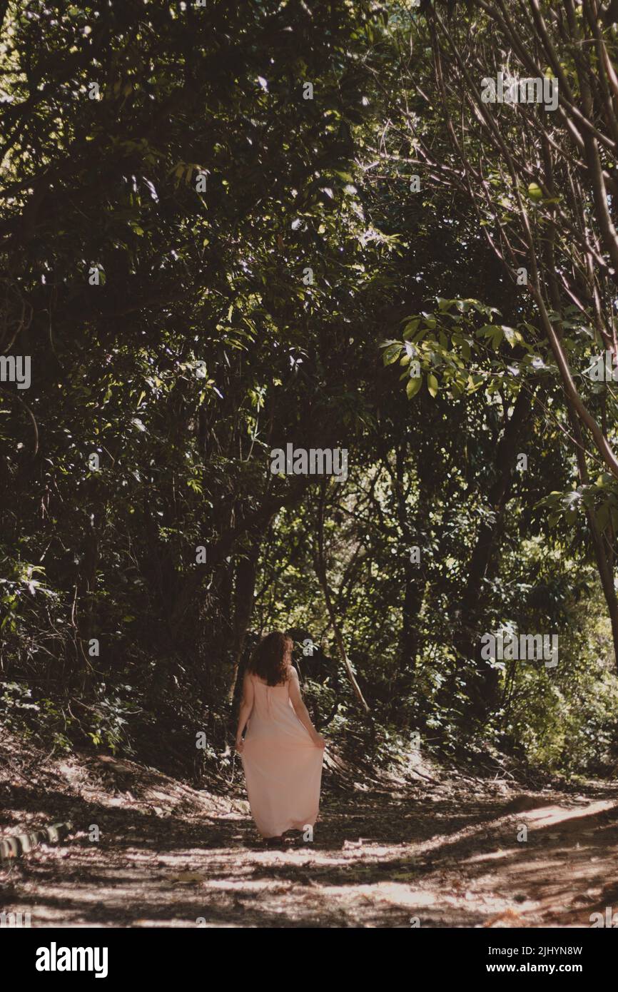 back view of a fairy woman in flowing dress walking in the middle of ...