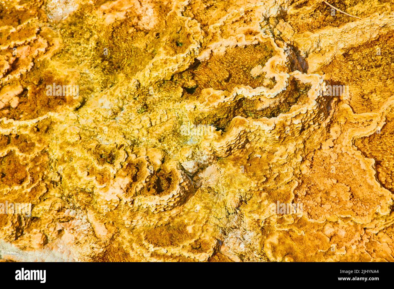 Up close to layers of terraces in Yellowstone hot springs Stock Photo ...