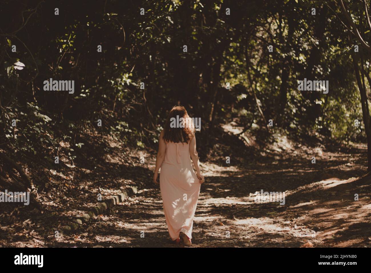 back view of a fairy woman in pink dress walking alone in the forest ...